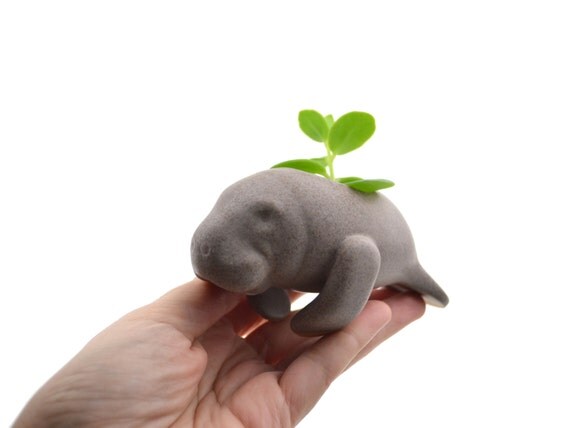 Small cute manatee planter ceramic planter animal planter