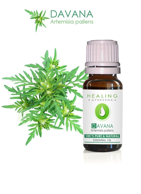 Davana Essential oil 100% Pure essential oil-Davanam