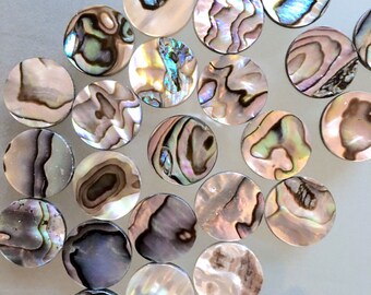 Flat round shell | Etsy