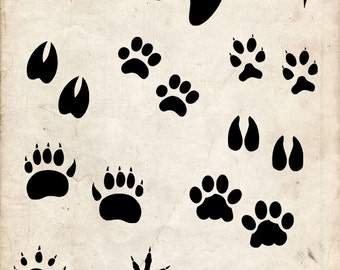 Animal tracks | Etsy