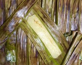 Chamorro products made with ️ by CokonutExpress2015 on Etsy