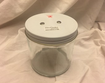 Insect specimens | Etsy