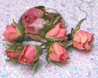 Small flower buds | Etsy