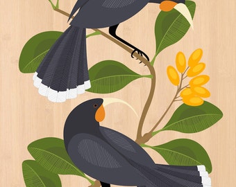 Huia bird | Etsy