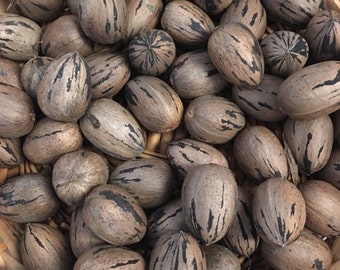 Pecan pralines | Etsy