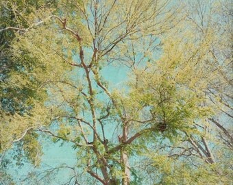 Morning in Malibu. California. Canvas Print by Irena by irenaorlov