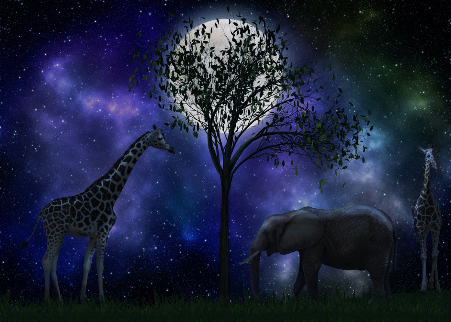 Whimsical Night 40 Night Sky Overlays by DareToDreamStudio