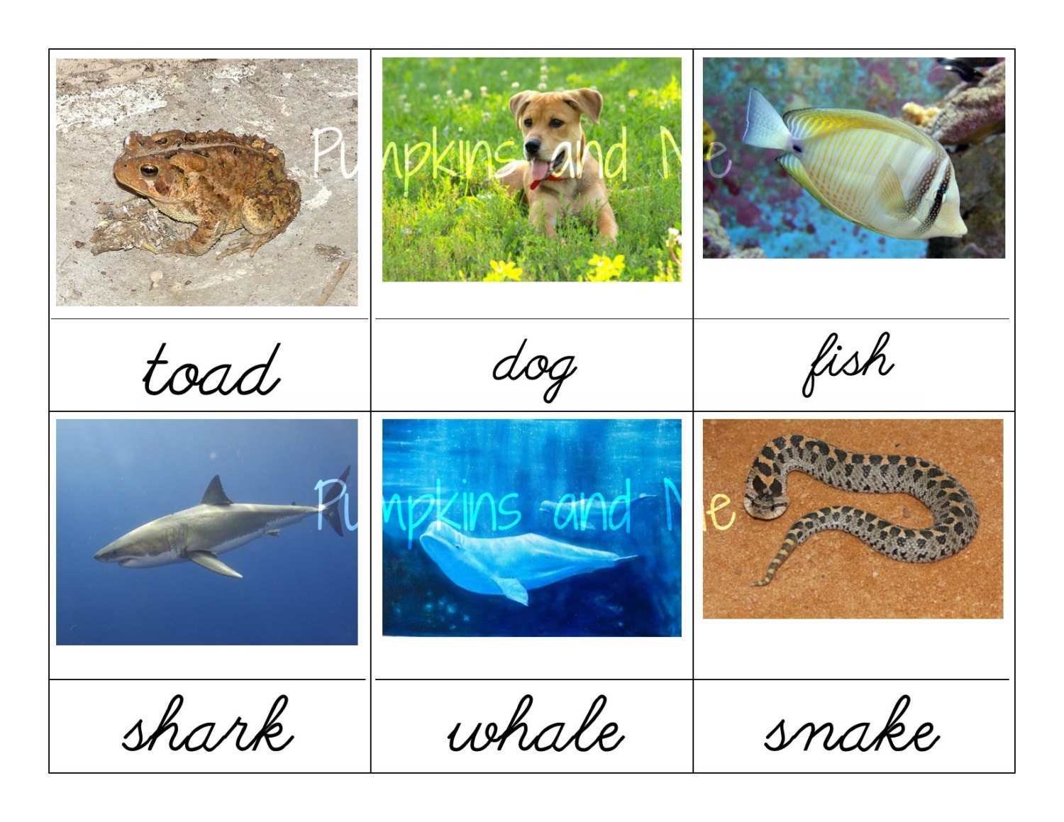 Vertebrate Types Sorting Cards Montessori 3 part cards