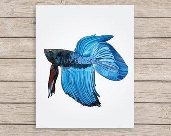 Betta fish art | Etsy