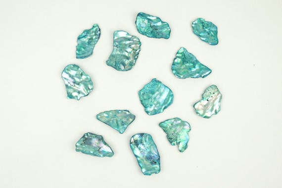 Turquoise Dyed African Abalone Pieces: 50mm size. 1 KG bag