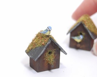 Unique bird boxes related items | Etsy