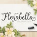 Daniela Script Font Modern Font Cursive Font Monoline