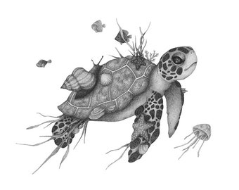 Whimsical turtle | Etsy