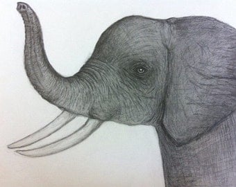 Items similar to Young Elephant. Print on Etsy