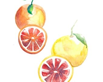 Grapefruit painting | Etsy