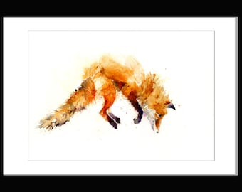 Jen Buckley Art. limited edition animal art by JenBuckleyArt