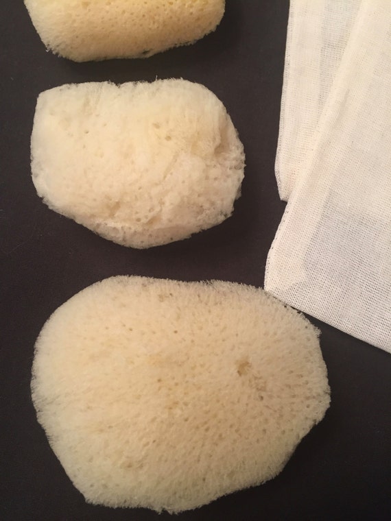 Natural Sea Sponges Menstrual Care Waste Free Period Full