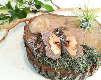 Butterfly terrarium | Etsy