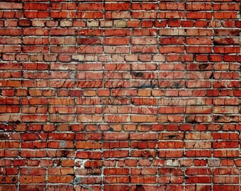 NEW 5ft x 5ft Vinyl Photography Backdrop / Green by SwankyPrints