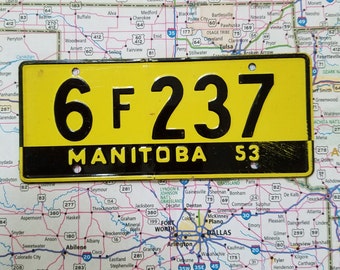 Mini license plate | Etsy