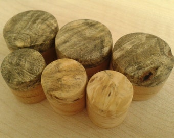 Items similar to Set of 4 Spalted Maple Guitar Knobs with Gabon Ebony and Mahogany Cap (13/16 ...