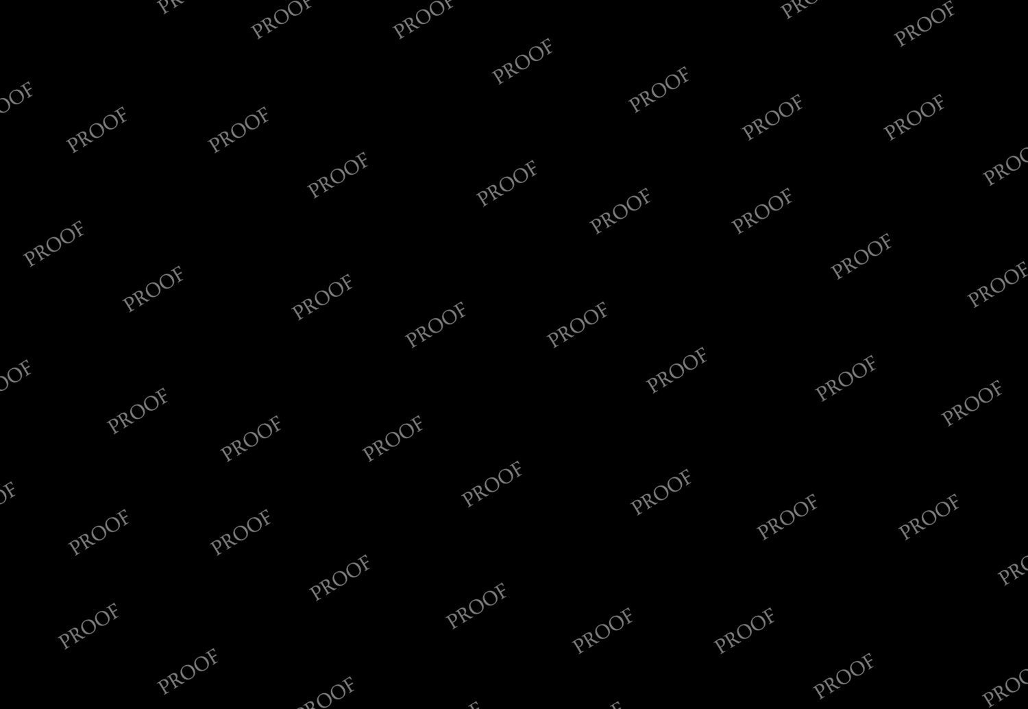 INSTANT DOWNLOAD Proof Photography Image Overlay