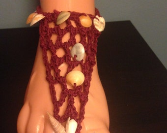 Broad-Ribbed Cardita Seashell Owl