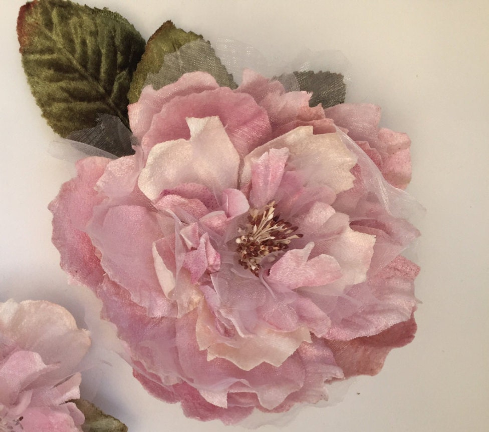 pink velvet cabbage rose. velvet wedding roses. velvet roses