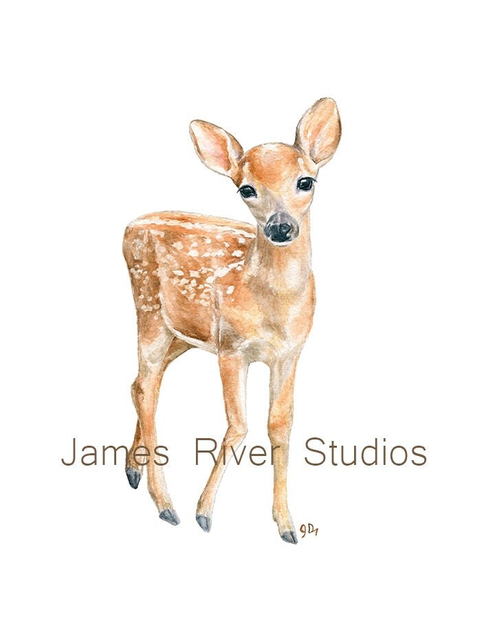 Deer Art Deer Painting Deer Print. Baby Deer Watercolor Baby