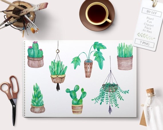 Watercolor succulent clipart, cactus clipart, plant clipart, succulent ...