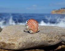 Unique seashell ring related items | Etsy