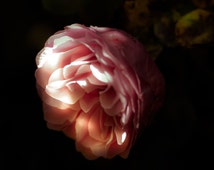 Popular items for chiaroscuro on Etsy