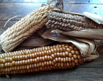 Heirloom corn | Etsy