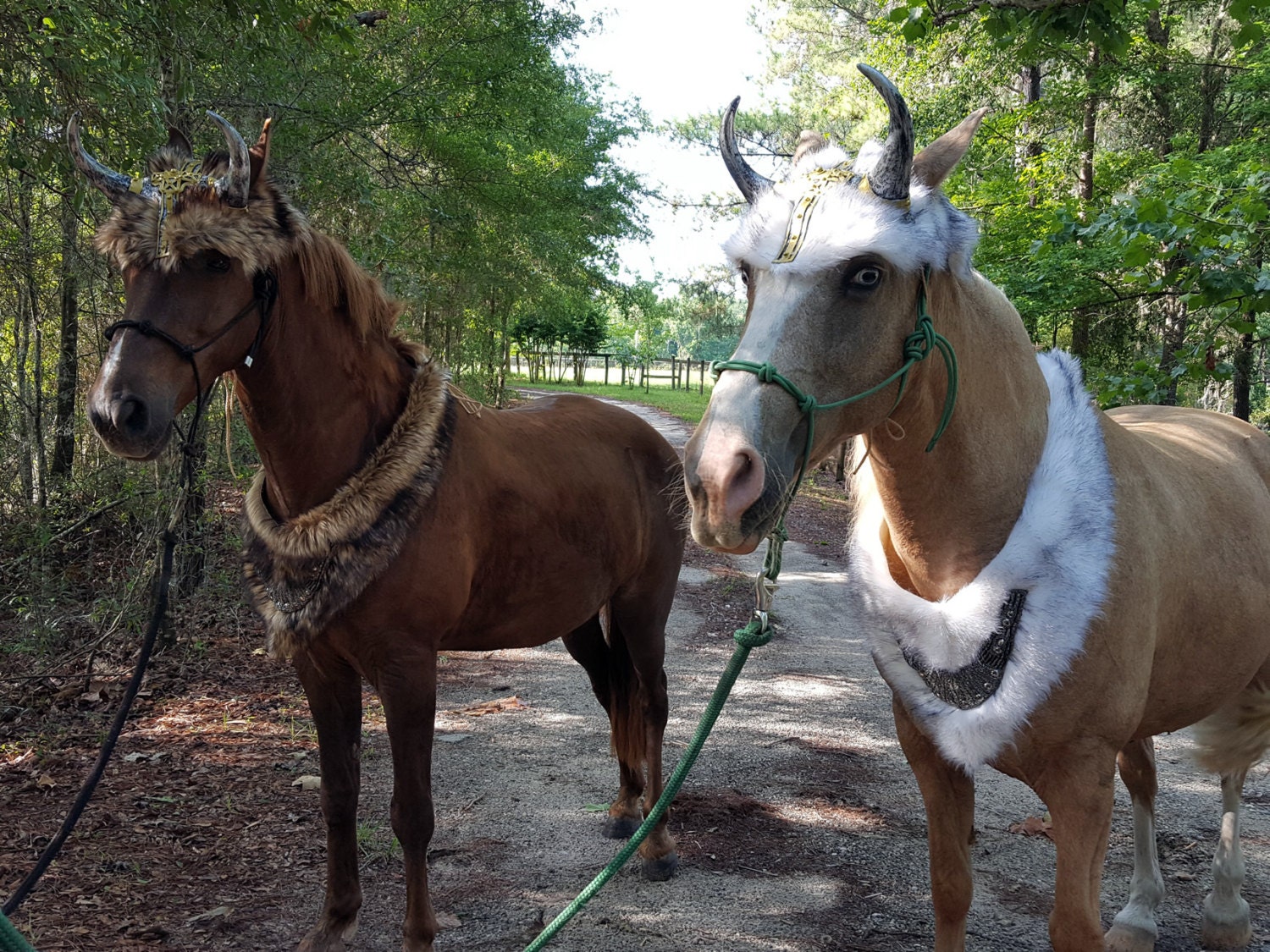 Viking Warrior Horse Costume Celtic Equine Costume 6