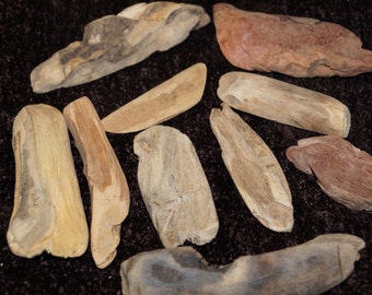 Bulk driftwood | Etsy