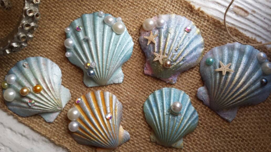 Seashell hair clip 6 piece set mermaid hair clips 6 seashell