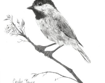Chickadee drawing | Etsy