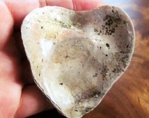 Popular items for heart shaped shell on Etsy
