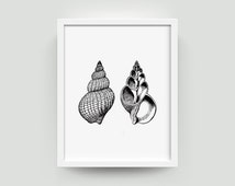 Unique shell art print related items | Etsy