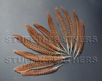 Pheasant decor | Etsy