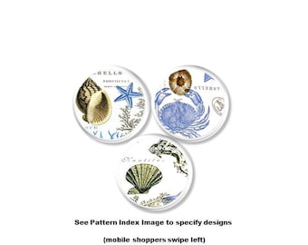 Seashell drawer pull | Etsy