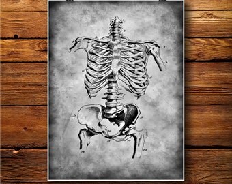 Unique skeleton poster related items | Etsy