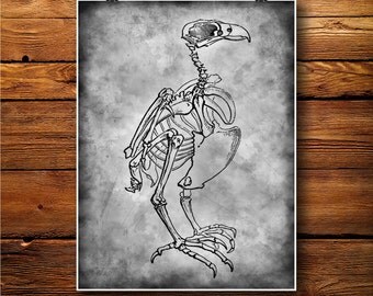 Unique bird skeleton related items | Etsy
