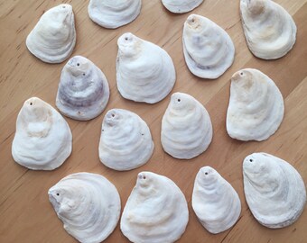 Oyster shell pendant | Etsy