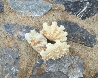 Guam Chamoru Sinahi Necklace Guahan Indigenous Carved Hima