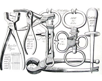 Farrier tools | Etsy