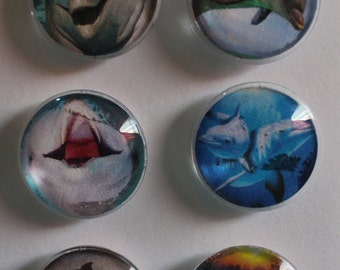 Sea glass magnets | Etsy