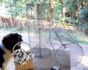 Antique animal trap | Etsy