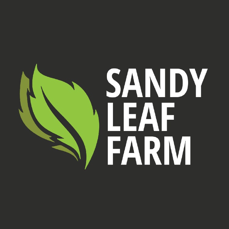 Unique and high quality make at home kits by SandyLeafFarm on Etsy