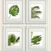 Tropical Decor Tropical Leaves 1 Green on White by NauticalNell